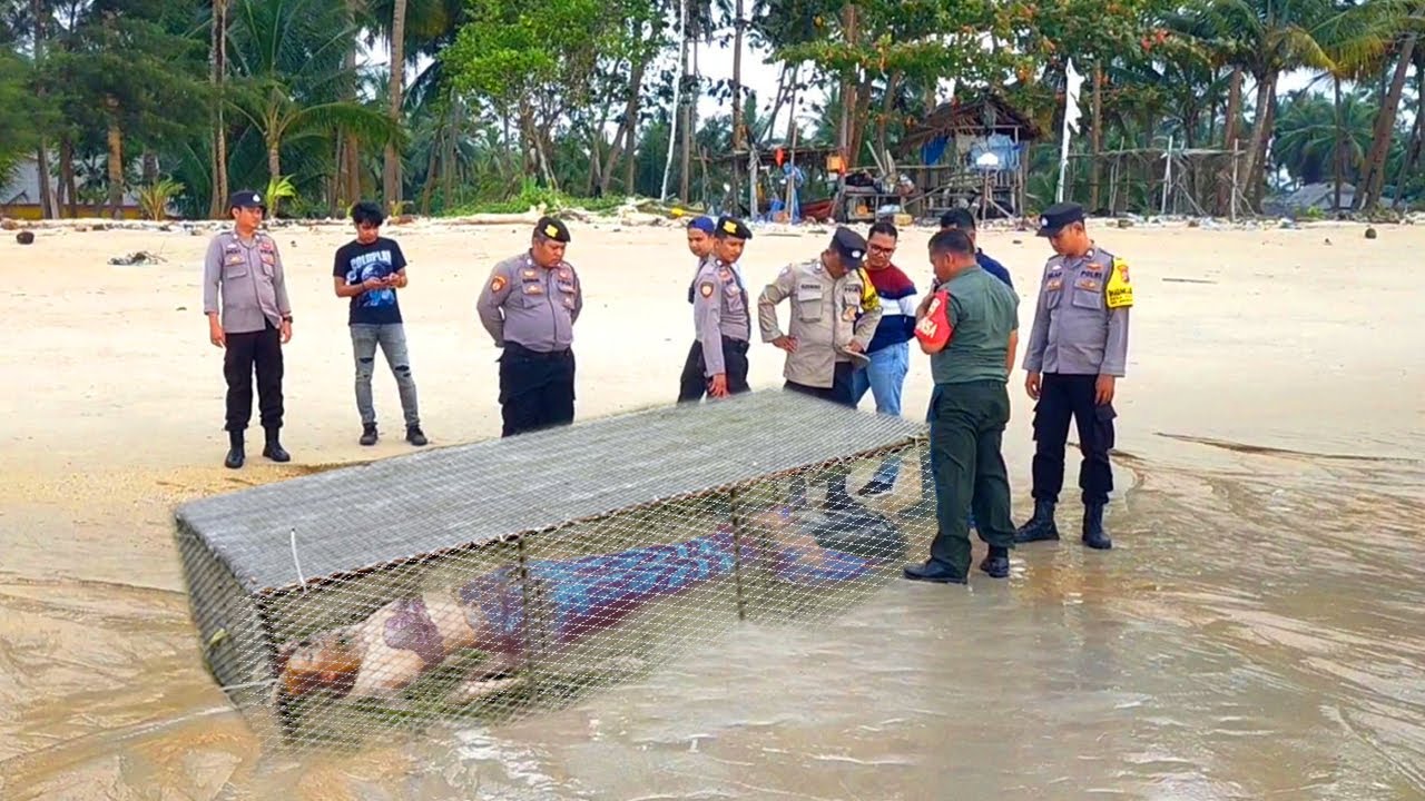 They found A Real Mermaid ... Then This Happened - YouTube