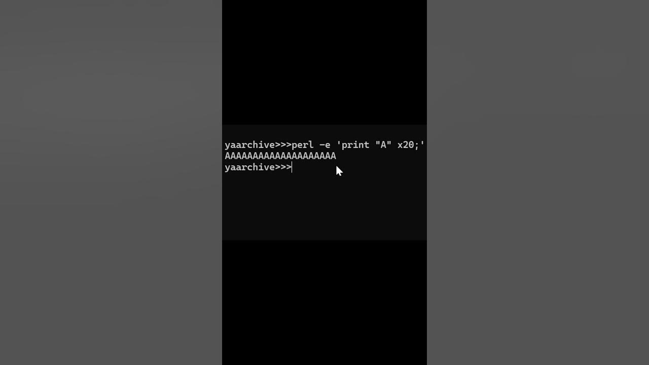 Buffer Overflows Using Perl On The Command Line Yaarchive Whatthehack