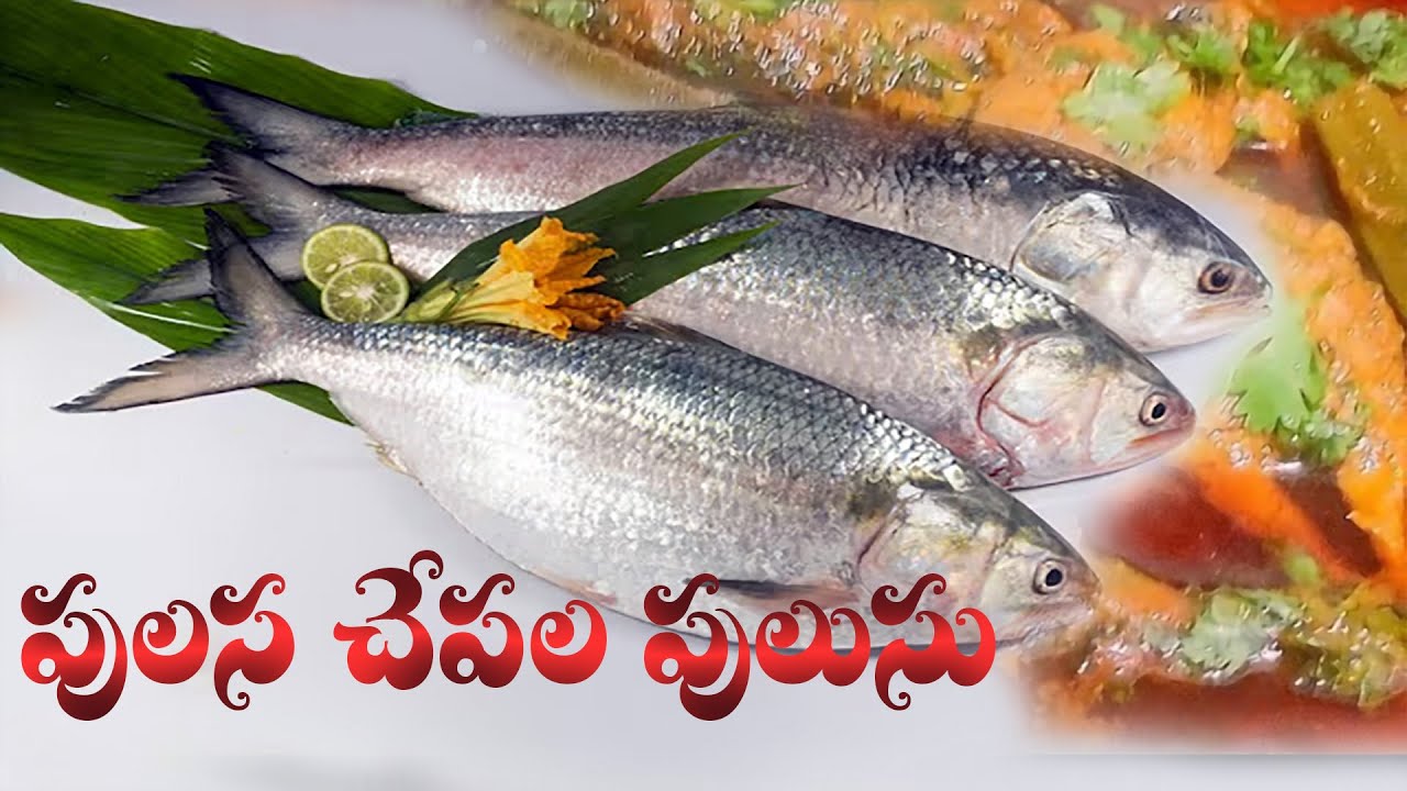 Pulasa pulusu /godavari special pulasala pulusu / pulasa chepa kura ...