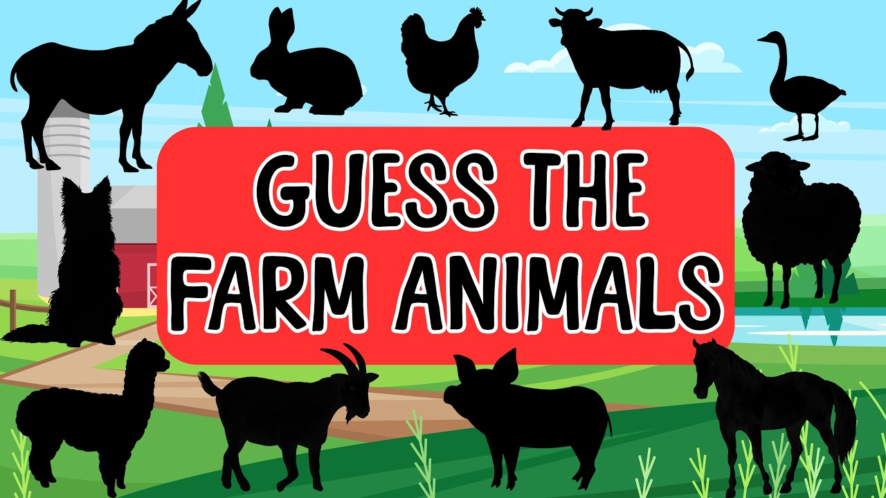 Can YOU Guess the Farm Animal by Its Shadow? Fun Animal Quiz for Kids ...