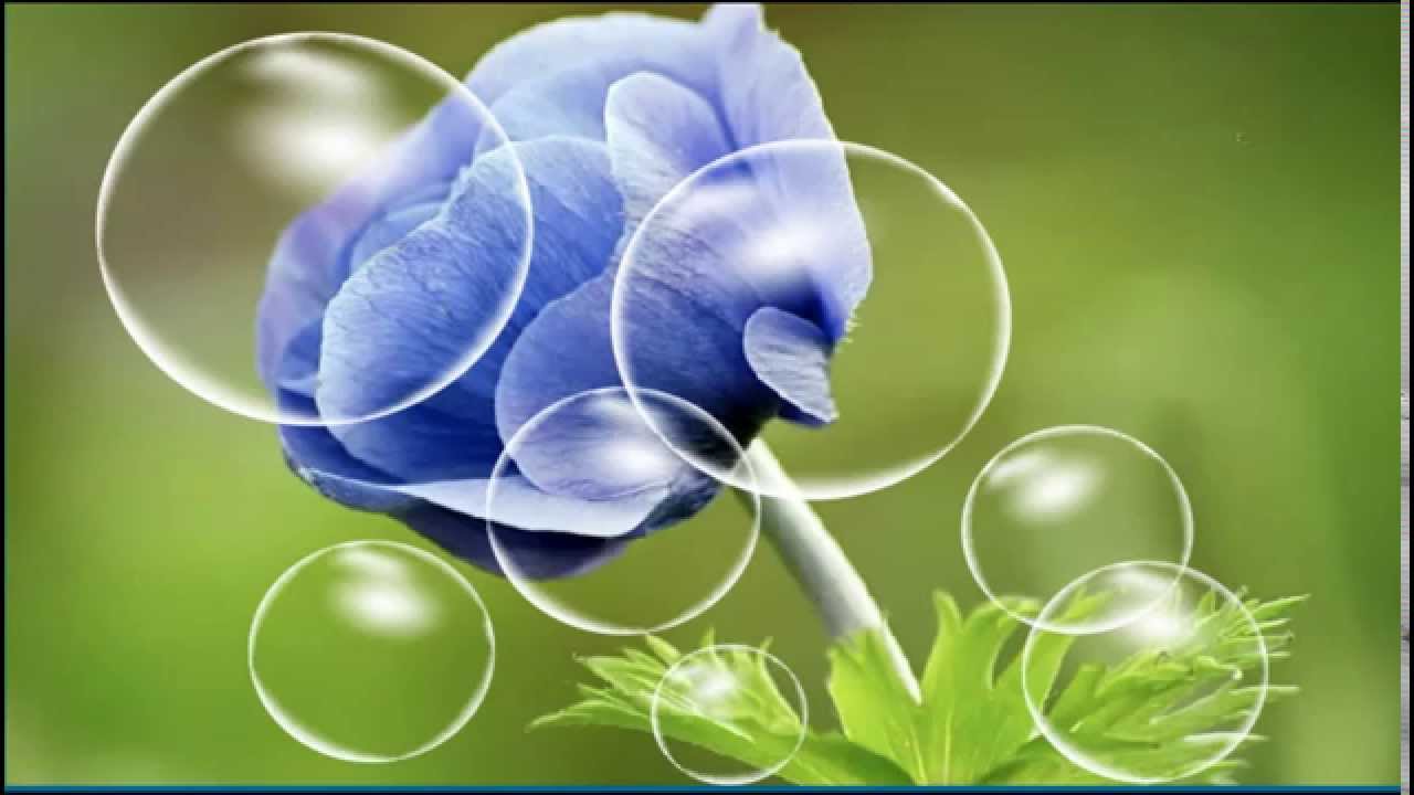 Create realistic water bubbles in CorelDRAW X6, X7 - YouTube