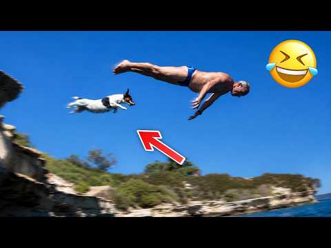 Funniest Animal Videos 2026 😂 When Animals Do Whatever They Want