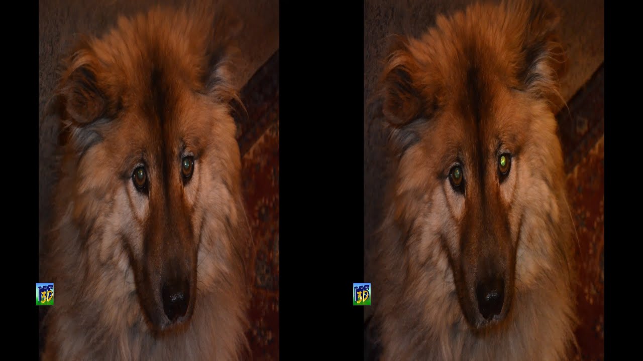 MS3D Top 15 3D photos side by side half (SBS half) - YouTube