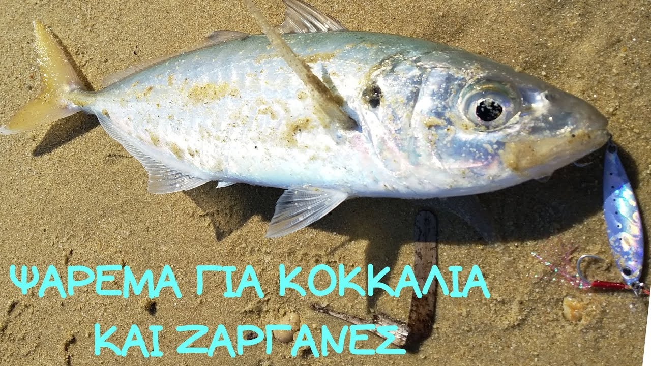 Ψάρεμα για κοκκάλια και ζαργάνες - YouTube