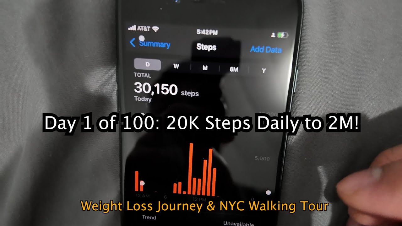 Day 1 of 100: 20K Steps Daily to 2M! | Weight Loss Journey & NYC ...