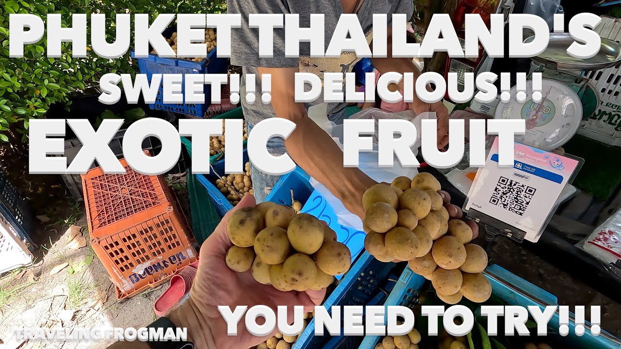 Longkong, The Exotic Fruit Of Phuket Thailand You Must Try! 🇹🇭 - YouTube