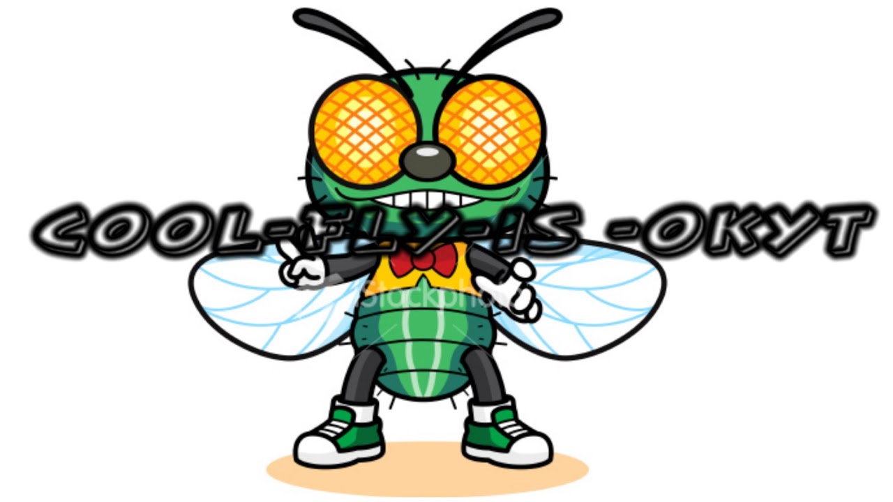 Tfam-CoOl-FlY Live Stream - YouTube