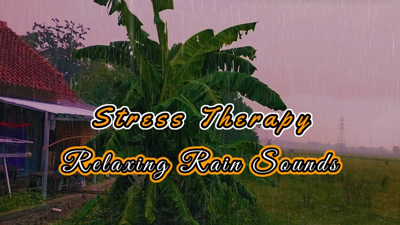 Relaxing Rain Sounds for Sleeping, ASMR - Rain Sounds to Calm Your Mind ...