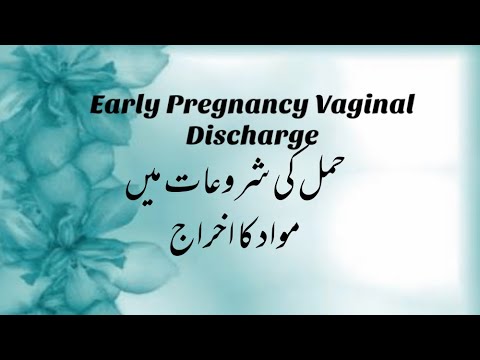 EARLY PREGNANCY DISCHARGE, SIGNS, SYMPTOMS, CAUSES AND FACTORS | EARLY ...