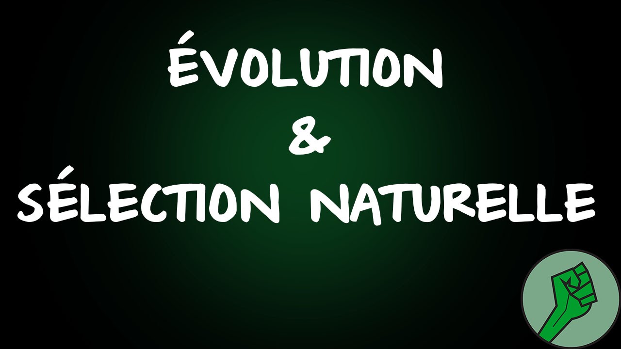 Evolution & sélection naturelle (pilote) - YouTube