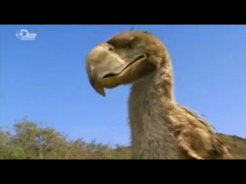 Mega beasts monsters resurrected-Episode 1 - Terro Bird [part 1]