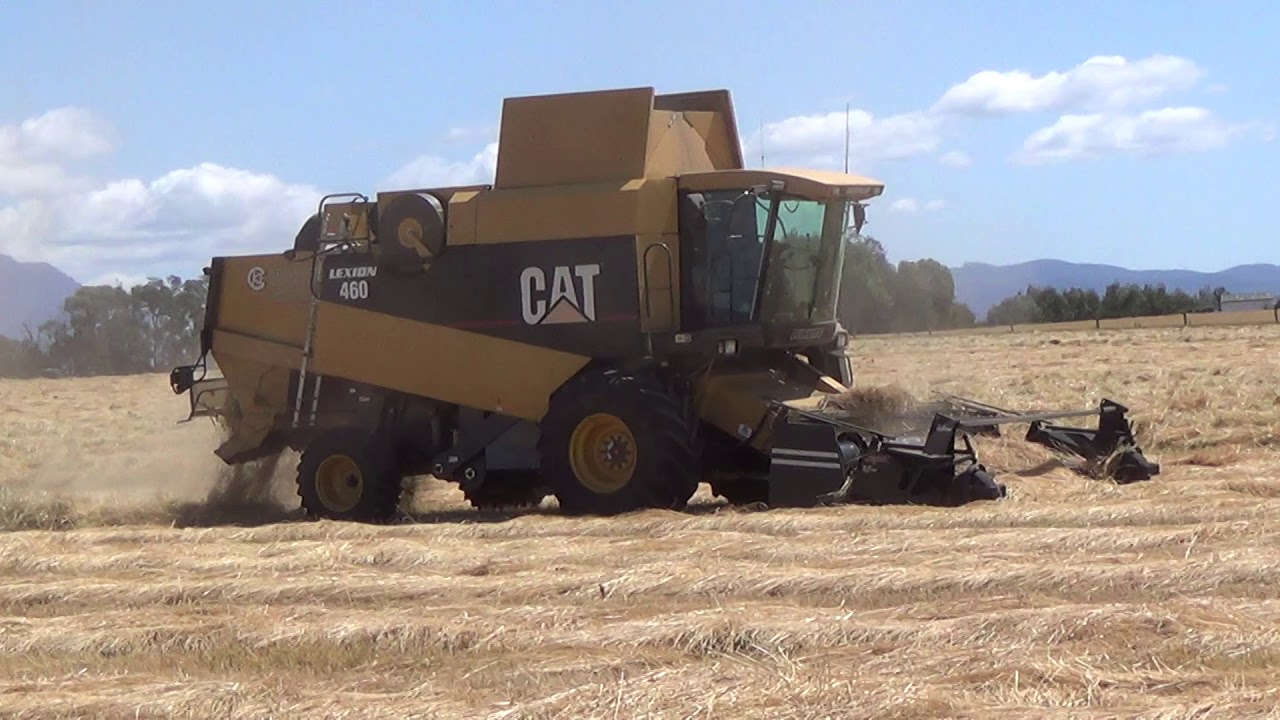 Grass Seed Harvest Part 2 - YouTube