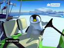 Pigloo - Le Papa Pingouin - YouTube