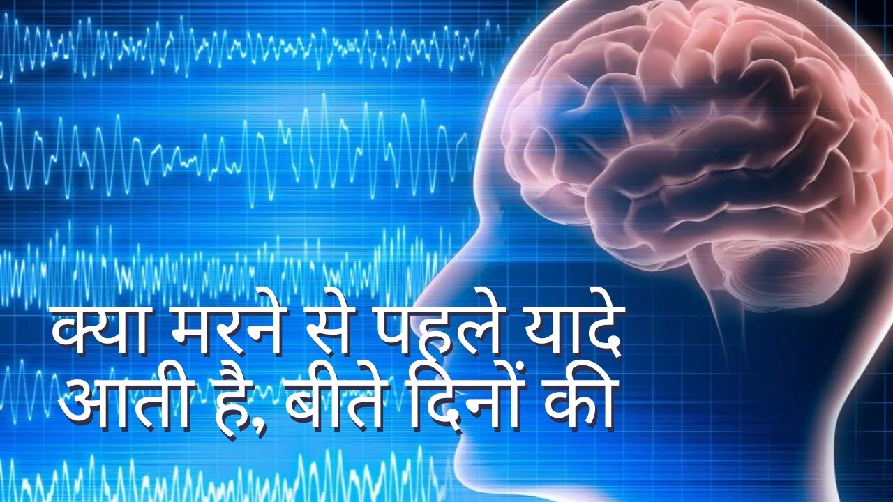 Brain Scans of Dying Man Suggest Life Flashes Before Our Eyes Upon ...