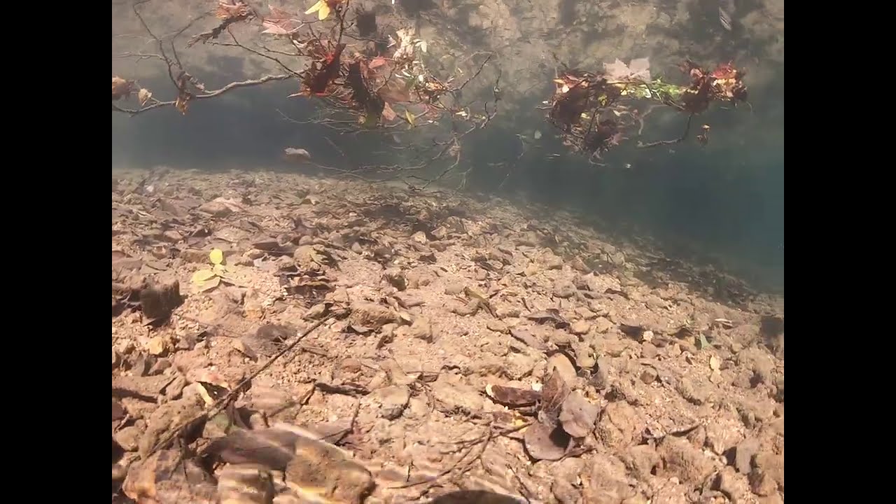 Sam A. Baker State Park MO. 2020 - YouTube
