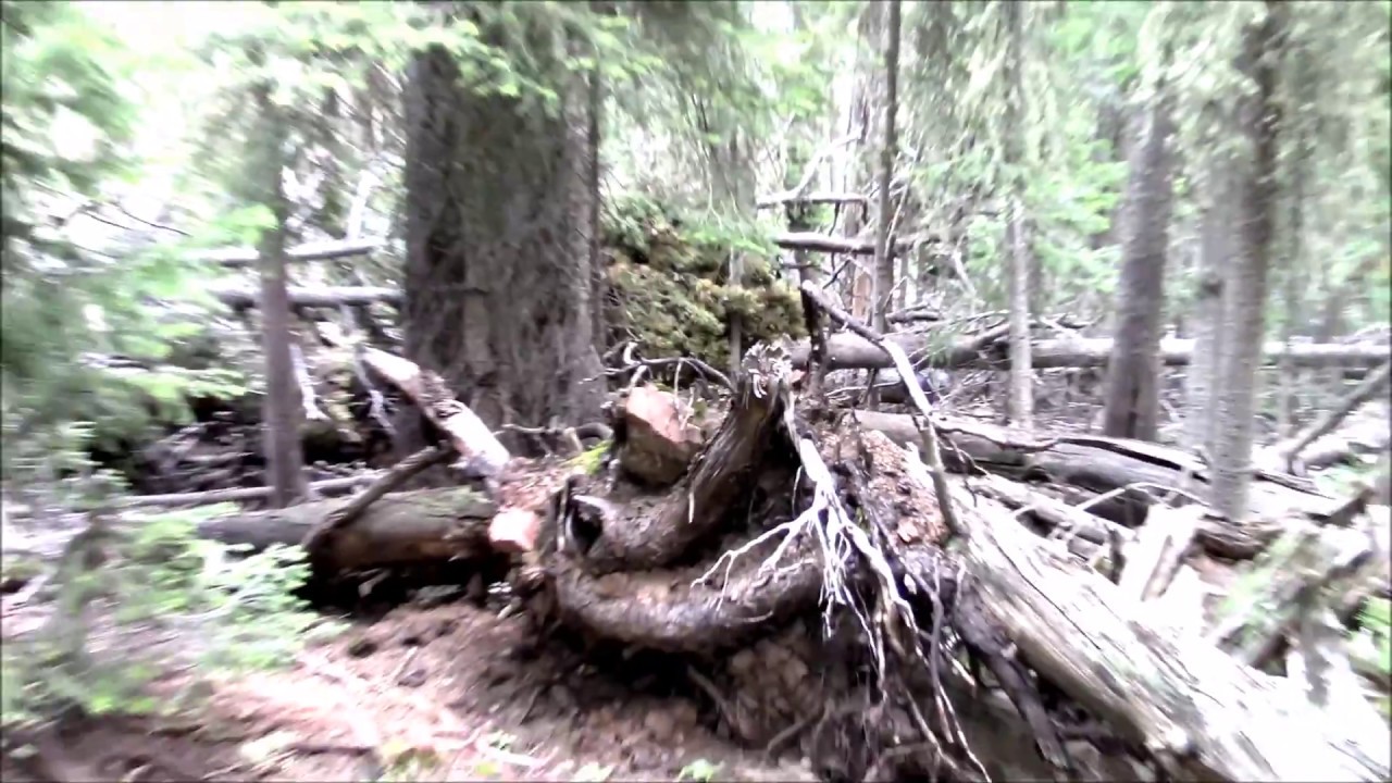 Bigfoot, Sasquatch,Summer 2016, part 3 ,X's everywhere, Forest People ...
