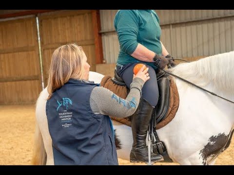 The Equestrian Movement Mentor: How the Franklin Method and Pilates can ...