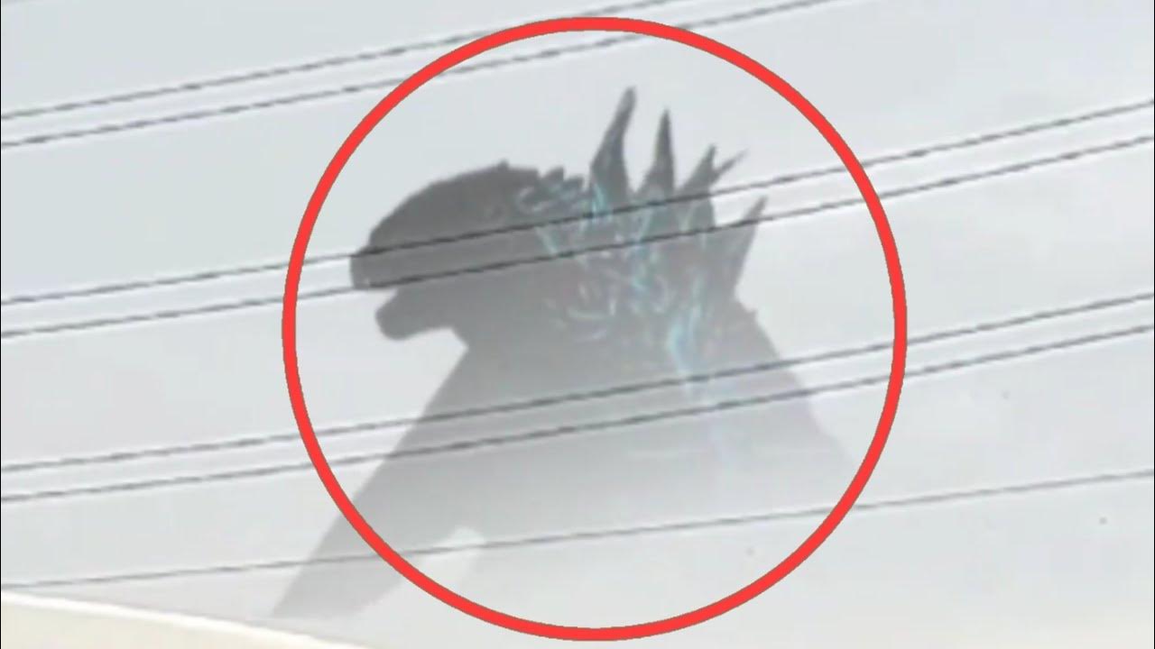 5 godzilla spotted in real life and caught on camera part 1 - YouTube