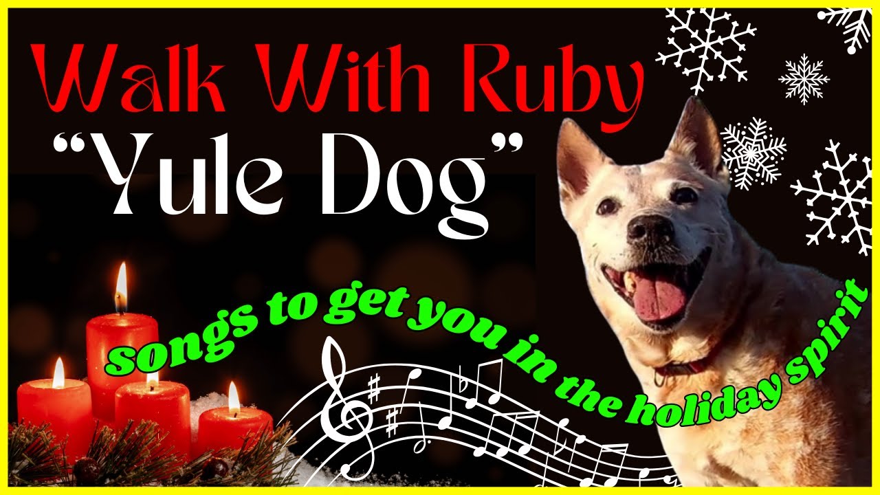 4 HOURS! Christmas/Holiday Music While Walking With Ruby! YULE DOG! # ...