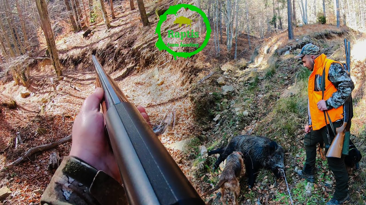 Κυνήγι αγριόχοιρου. 2 ημέρες 2 Κάπρους / Wildboar hunting in GREECE ...
