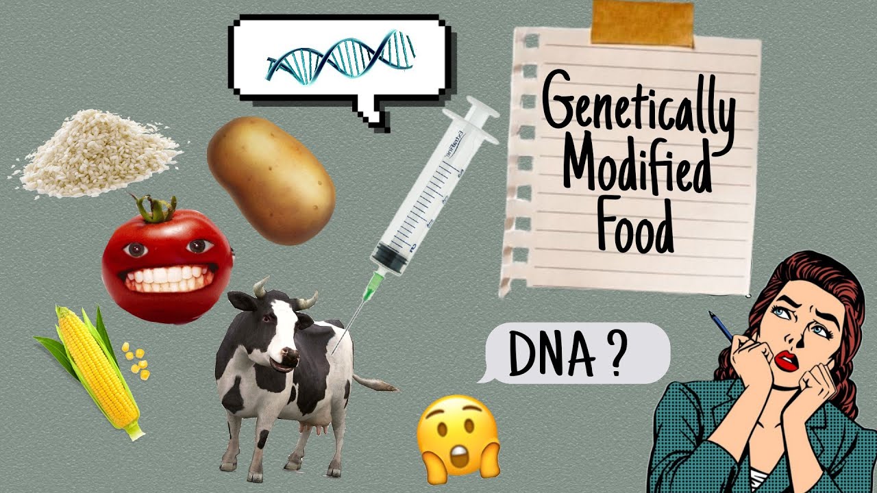 Genetically Modified (GM) Food // Presentation - YouTube