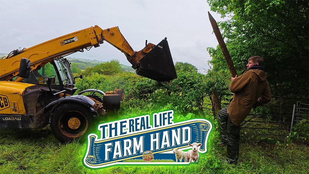 "It Finally Rained!" | The Real Life Farm Hand - Week 9 - YouTube