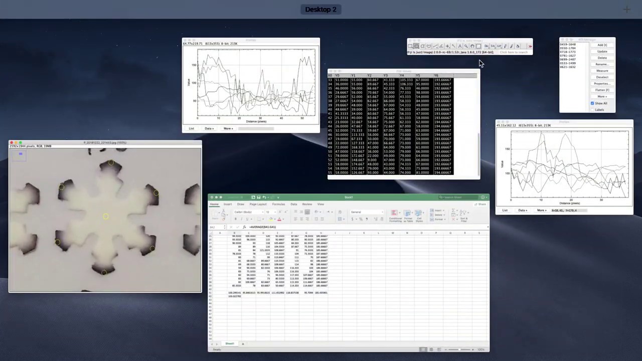 3d Roi Manager Imagej Documentation Wiki Imagej Utilities Applied