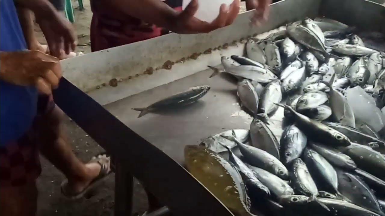 nag daong na ang mga Suki namin mga Parekoy 140 ang tulay 130 ang posit Lucky J Fishing - YouTube
