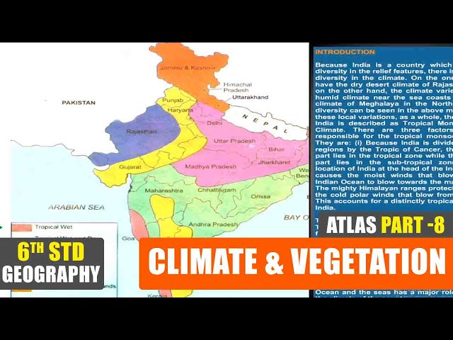 6th Std Atlas Part-8 | Climate & Vegetation | Geography | Class 6 ...