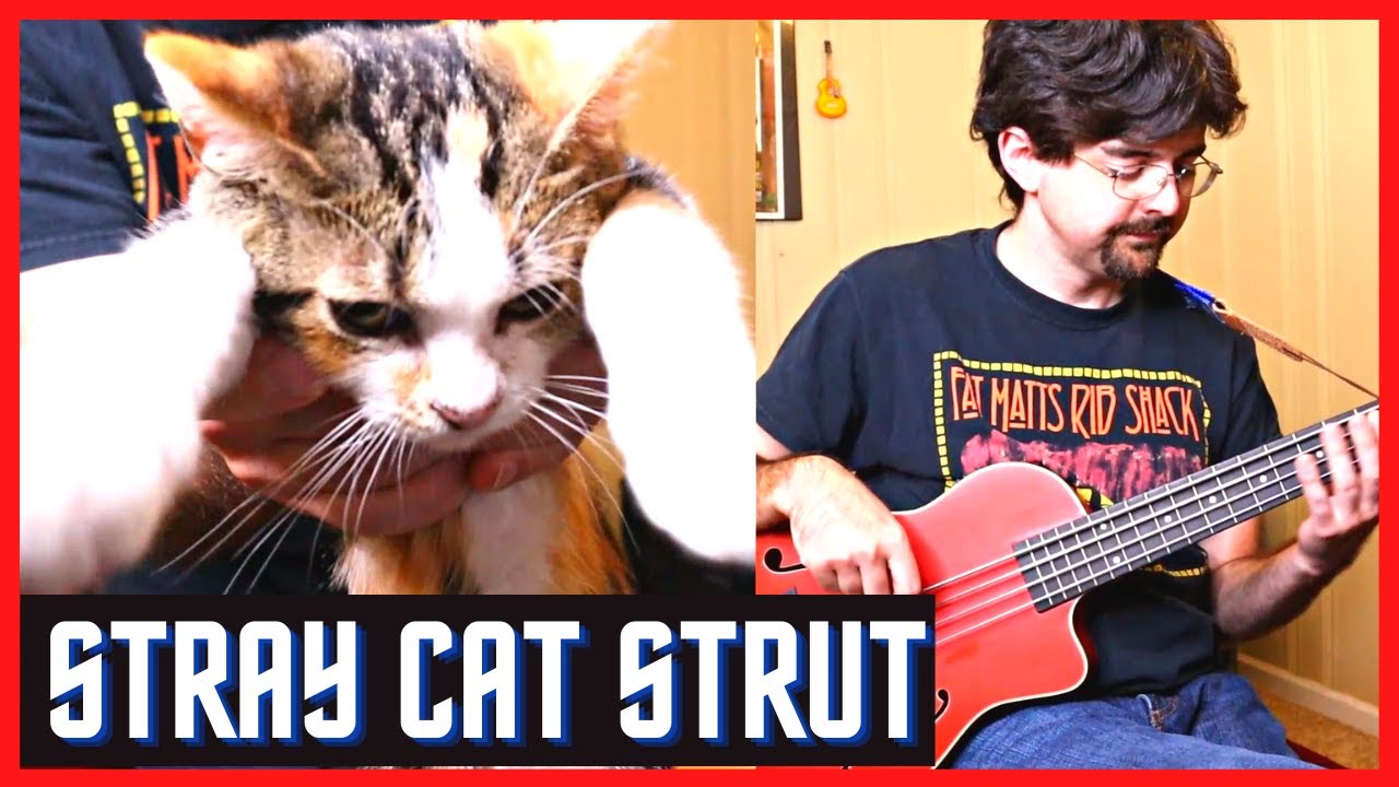 Stray Cat Strut Ukulele + U-Bass Duet - YouTube