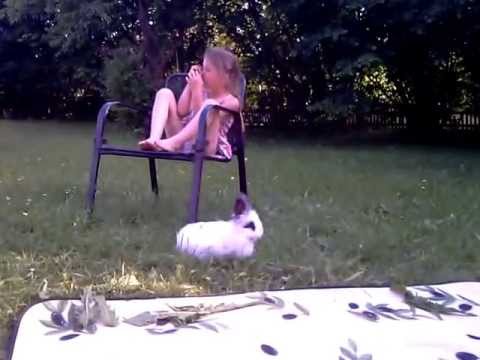 Djego der Hase