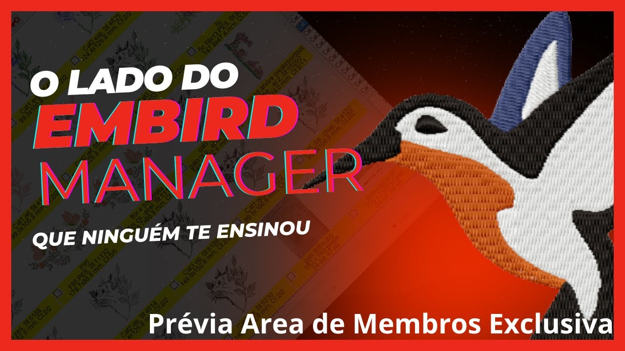 Como Utilizar Embird Manager - prévia - YouTube