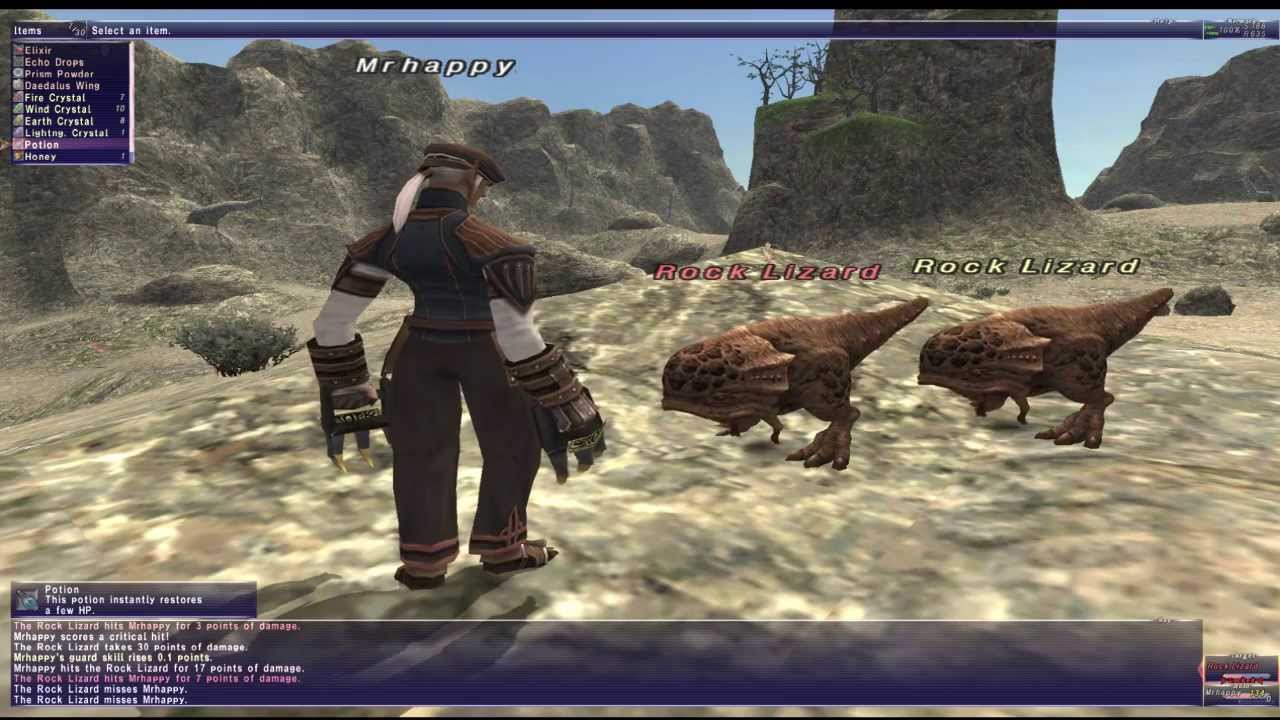 Let's Play FFXI (2014) Part 1 - Quest for Leaping Lizzy - YouTube