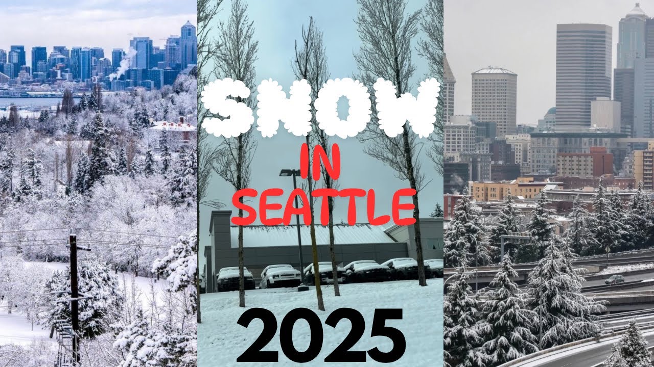 SNOW IN SEATTLE! FIRST TIME SNOW In 2025! #snow #snowday #citytour # ...