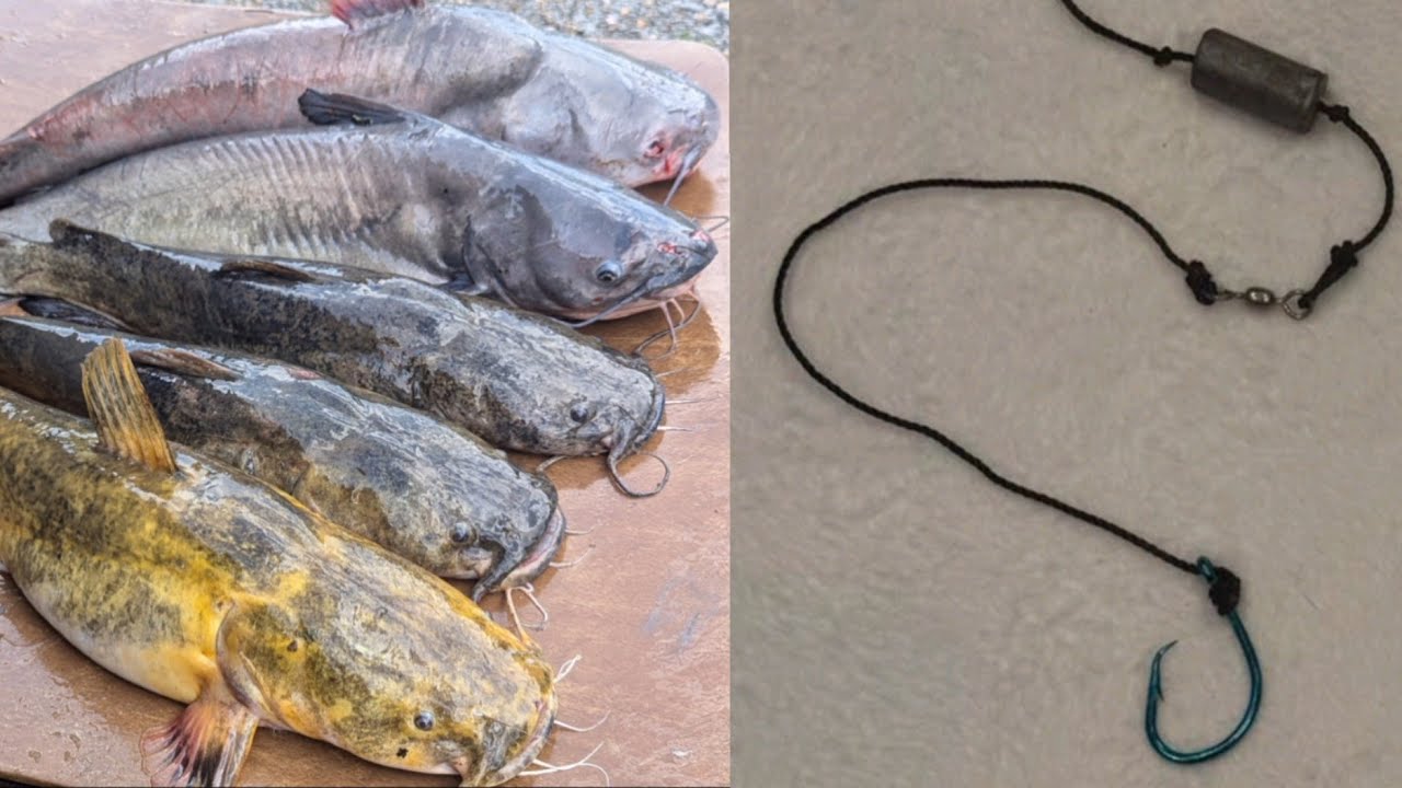 HOW TO Make An OLD SCHOOL, Homemade Limb Line for Catching GIANT ...