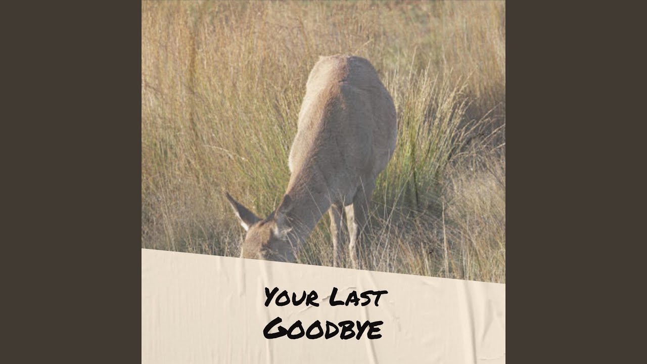 Your Last Goodbye - YouTube