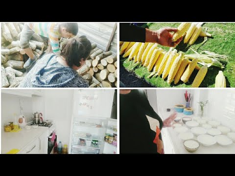 AŞIYA RANDEVU ALDIK ✔️  4 TON ODUN ALDIK ✔️ MÜREFTE PAZARI✨