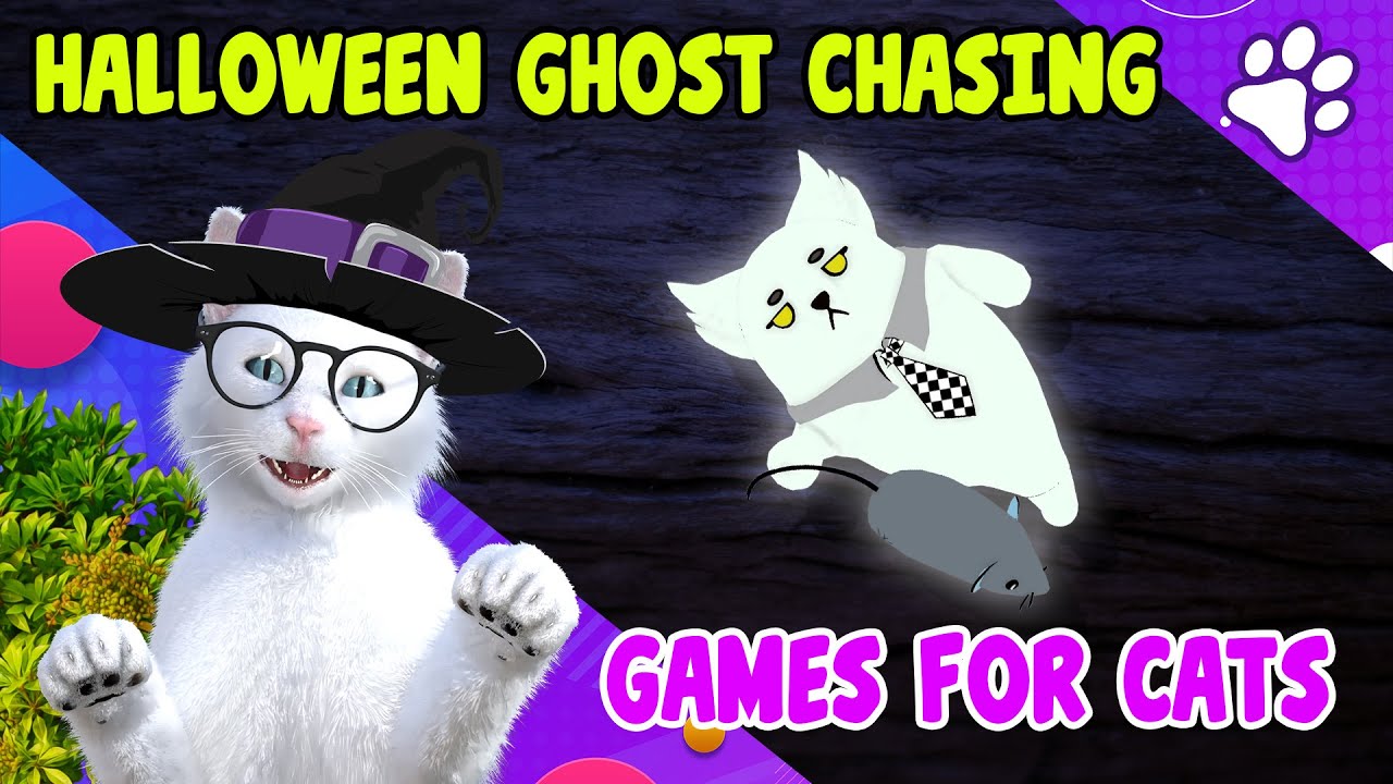 CAT GAMES - Ghost CHASING! Halloween Video for All Cats in the World ...