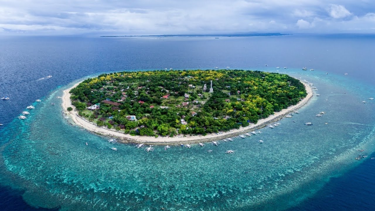 Episode III: The Incredible Marine Sanctuary @ Balicasag Island | Dive ...