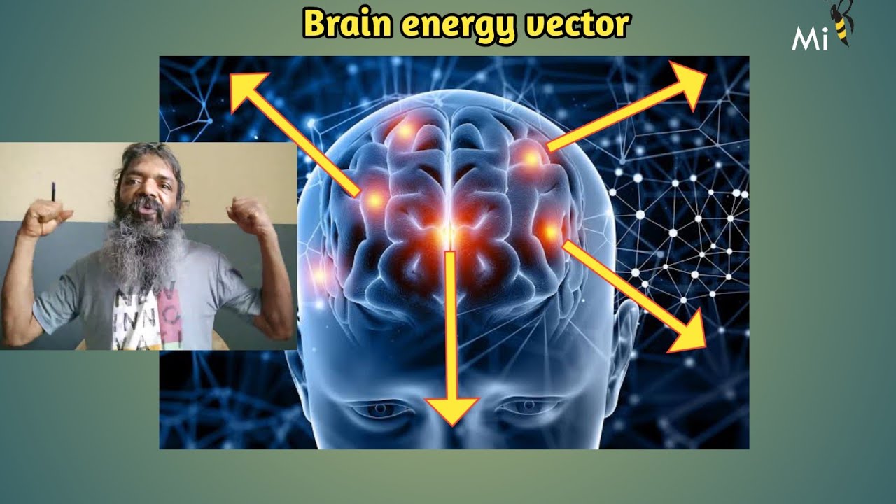 human brain architecture functioning and energy science, brain energy ...