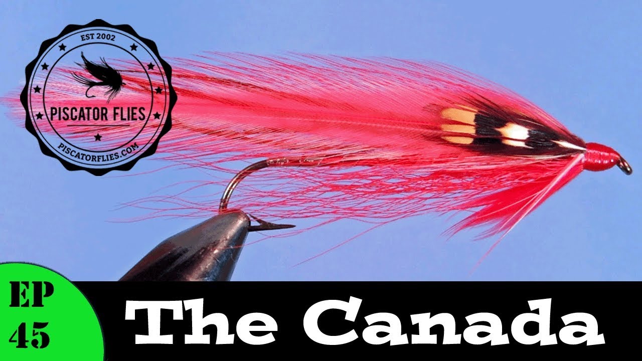 Tying The Canada Fly Pattern for stillwater - PF 45 #PiscatorFlies ...