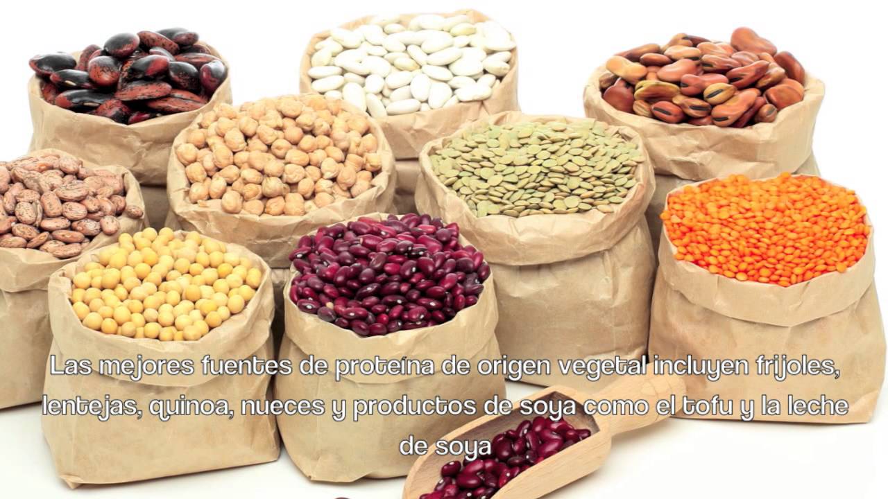 MyPlate Protein YouTube MyPlate Protein YouTube