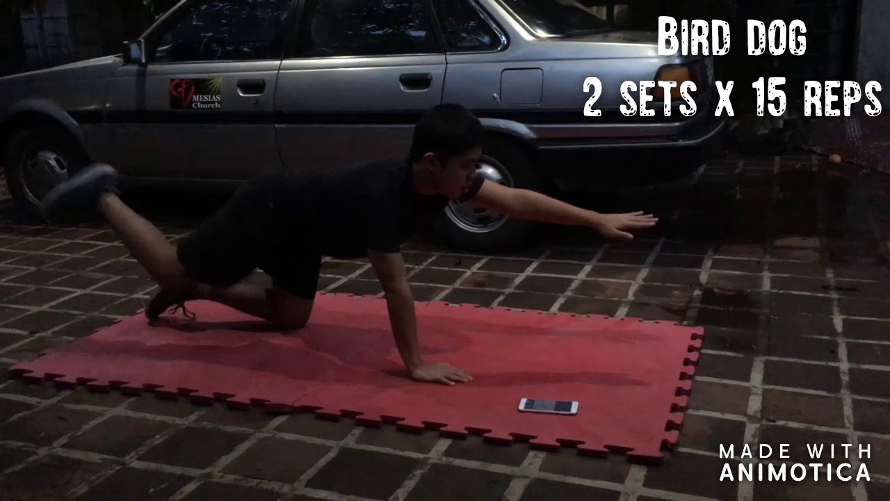 Locomotor & Non-Locomotor Exercises - YouTube