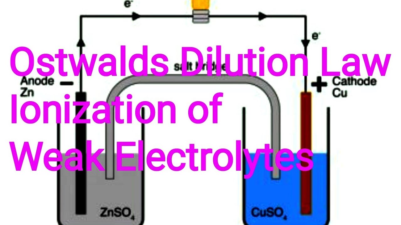 Lec-13| Ostwalds Dilution Law|Ionization of Weak Electrolytes - YouTube