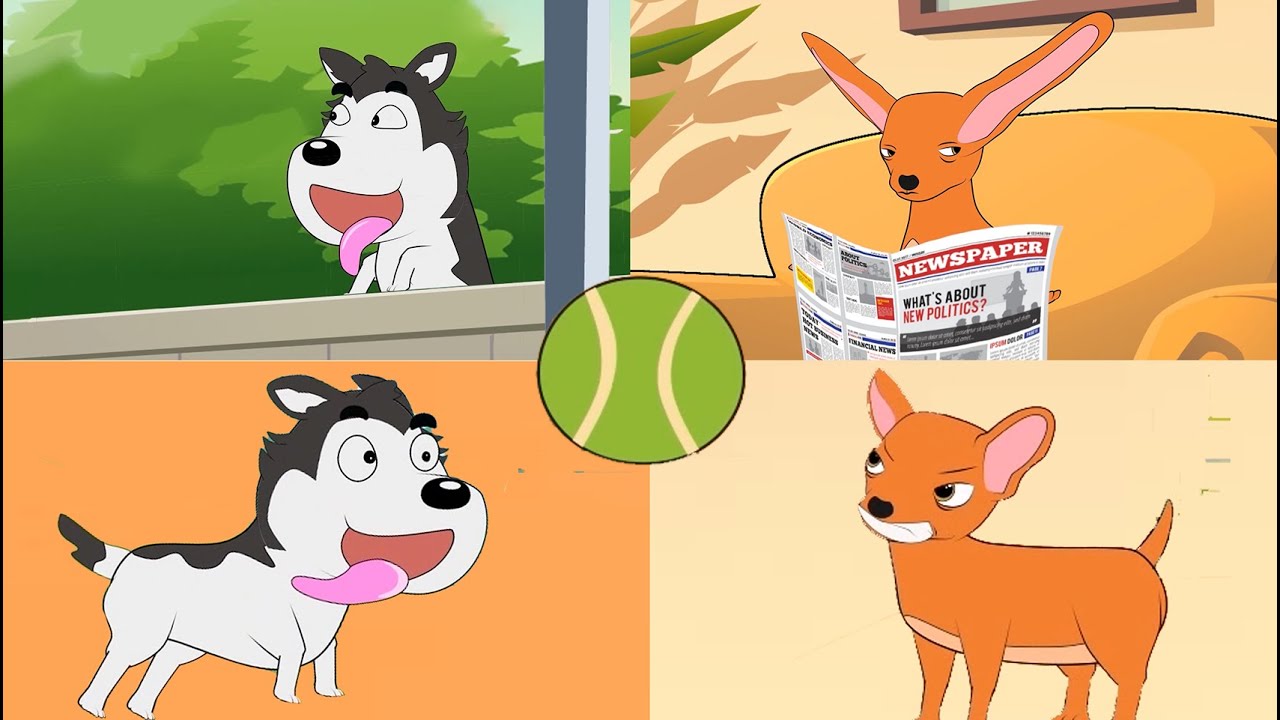 Huk Dog Catching ball | Funny Dog Huk Chasing Balls | Huk And Friends ...