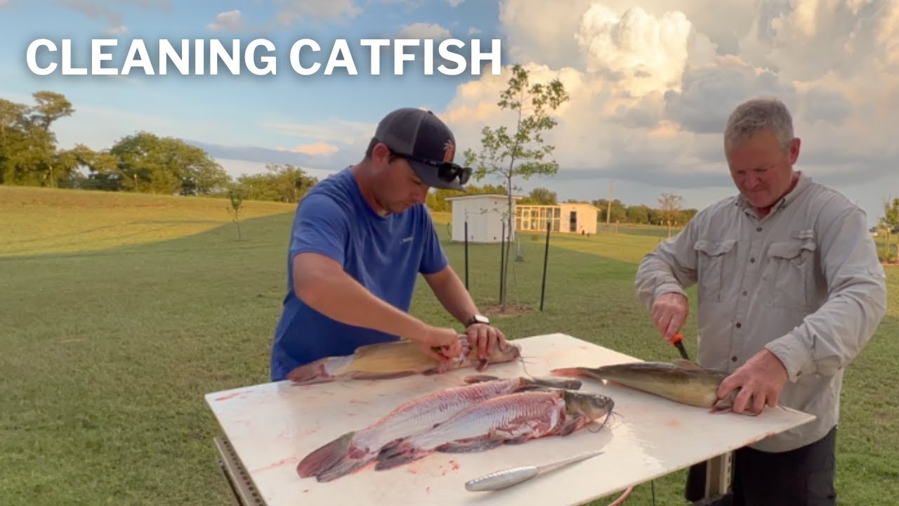 CLEANING CATFISH | HOW TO FILLET - YouTube