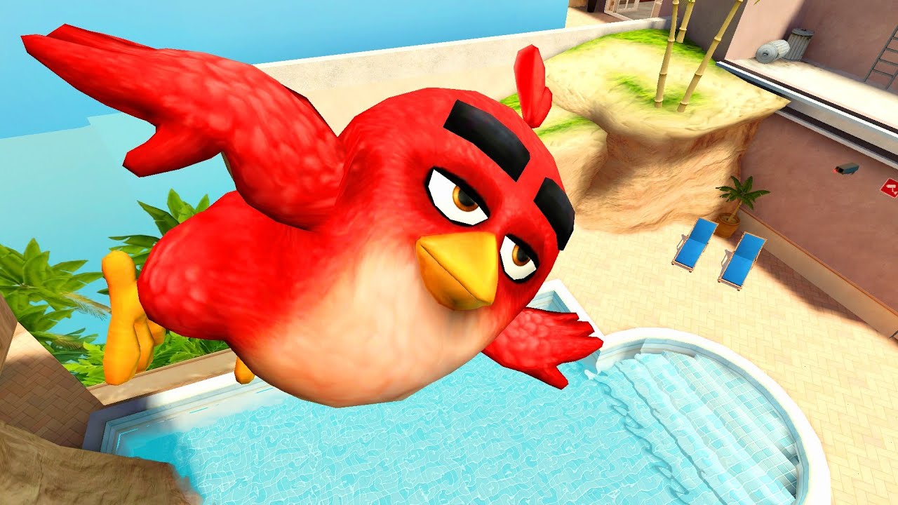 Angry Birds Ragdoll Jumps & Falls (GMOD) Episode 435 - YouTube