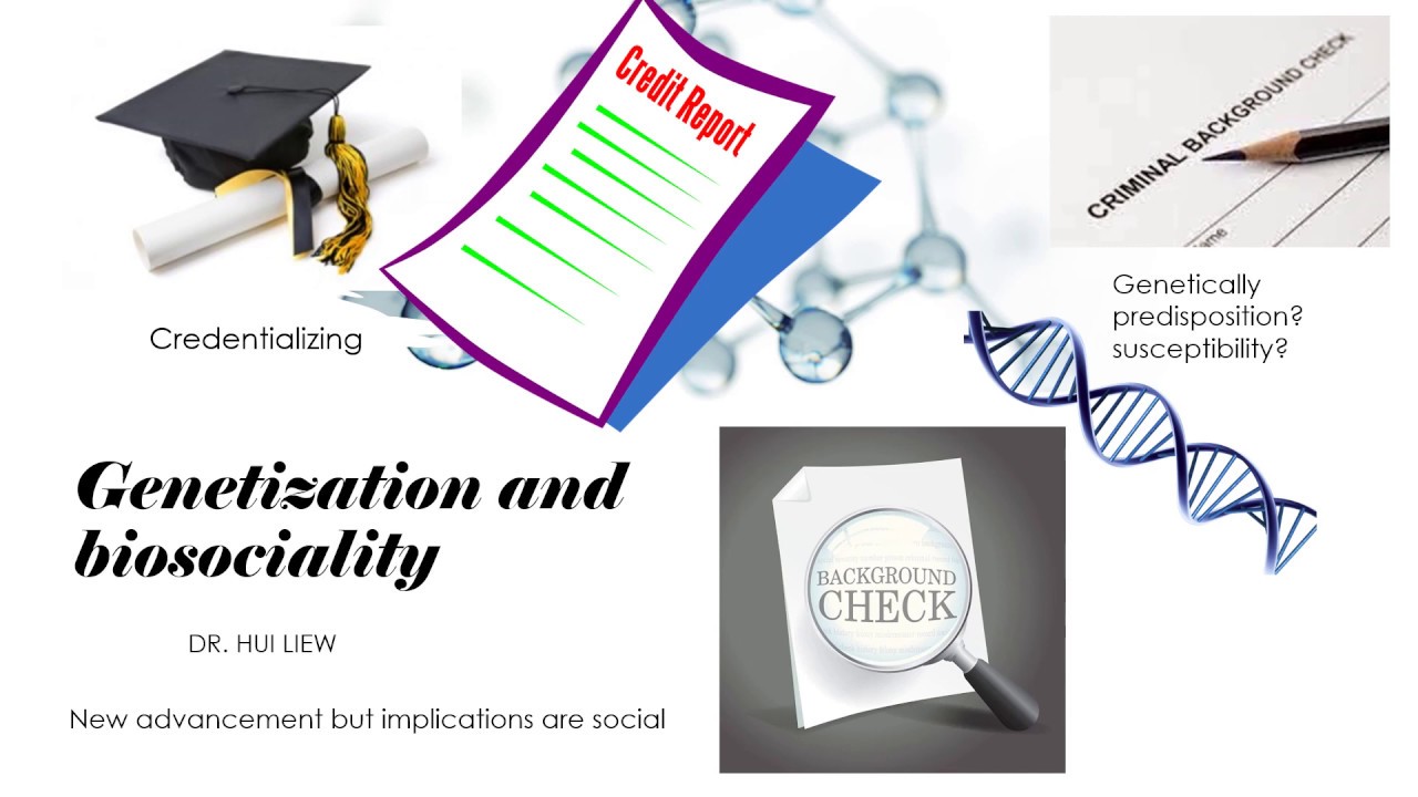 Genetization and biosociality simplified - YouTube