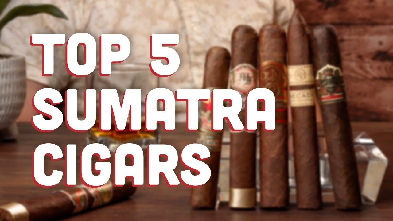 Top Sumatra Cigars: 5 Must Try Blends - YouTube