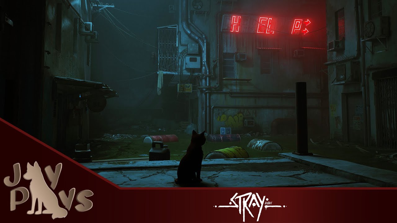Lost in a Forgotten City | Stray #1 - YouTube